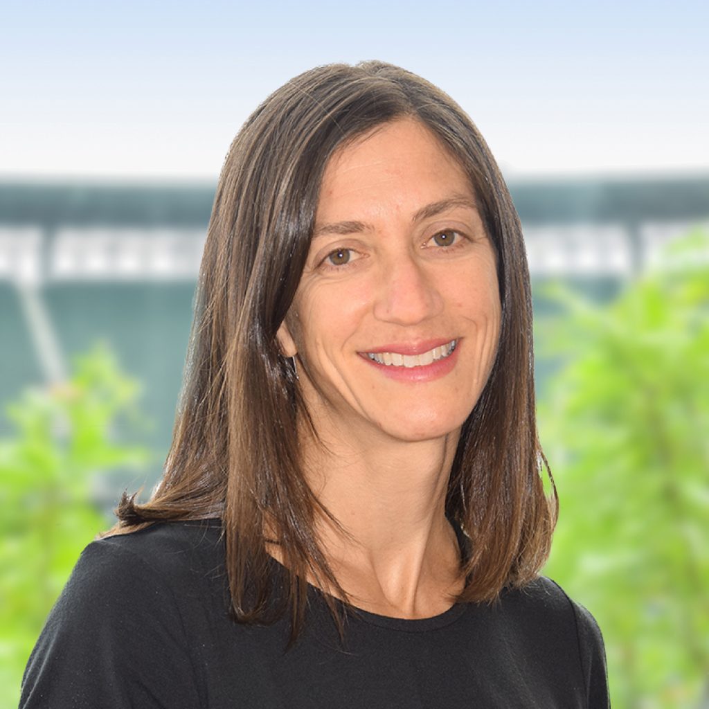 Whiting-Turner – San Antonio Contact