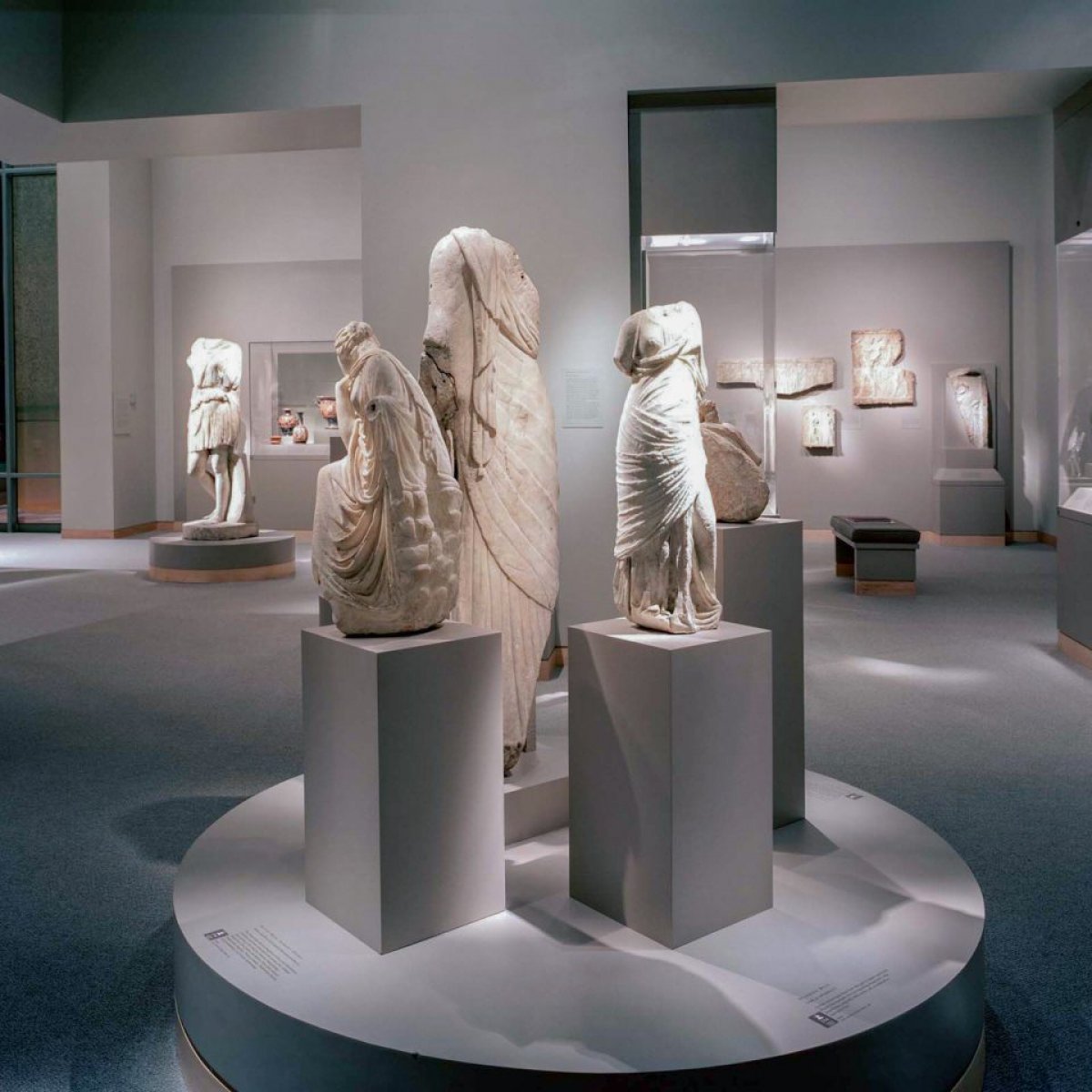 Whiting-Turner – Museums, Zoos and Aquariums