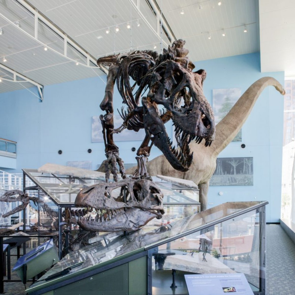 Whiting-Turner – Museums, Zoos and Aquariums